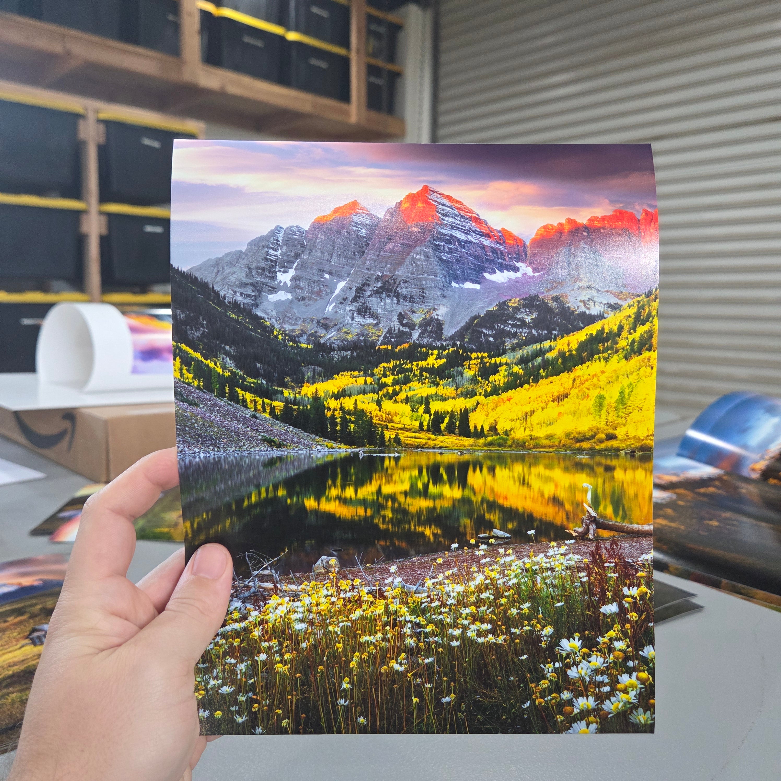 Free Nature Art For Your Home – Riley Clark Fine Art