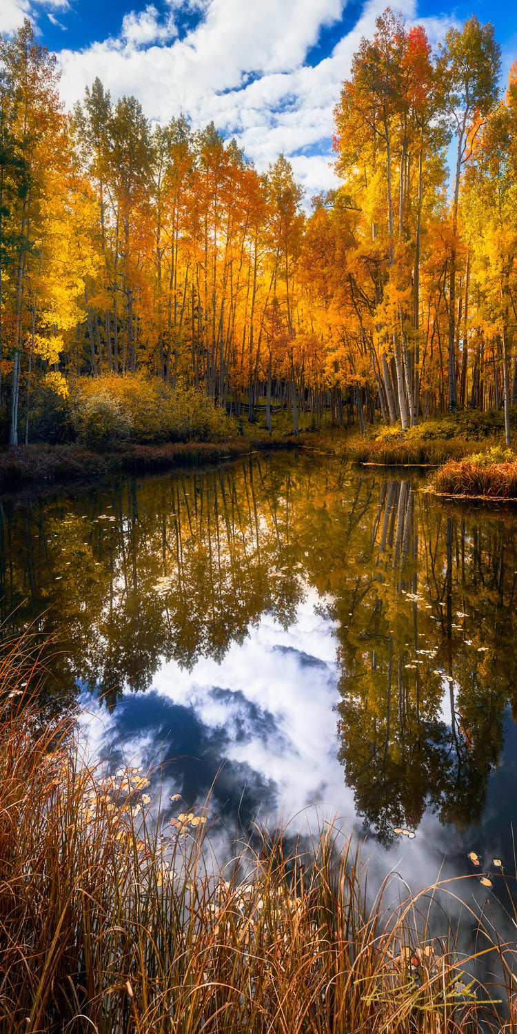 The Autumn Miorror - Signature Series – Riley Clark Fine Art