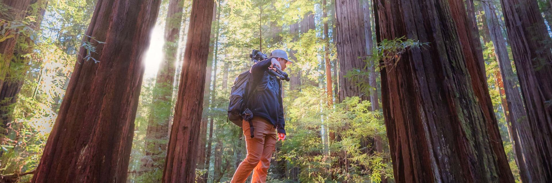 Riley Clark Fine Art