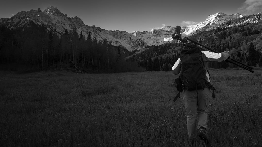 The Artist – Riley Clark Fine Art